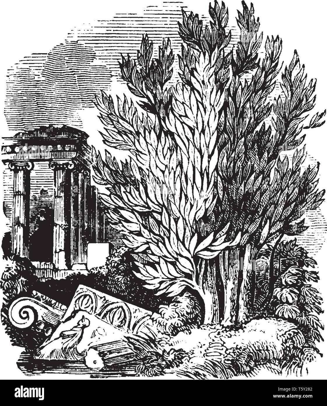 Empires Stock Vector Images - Alamy