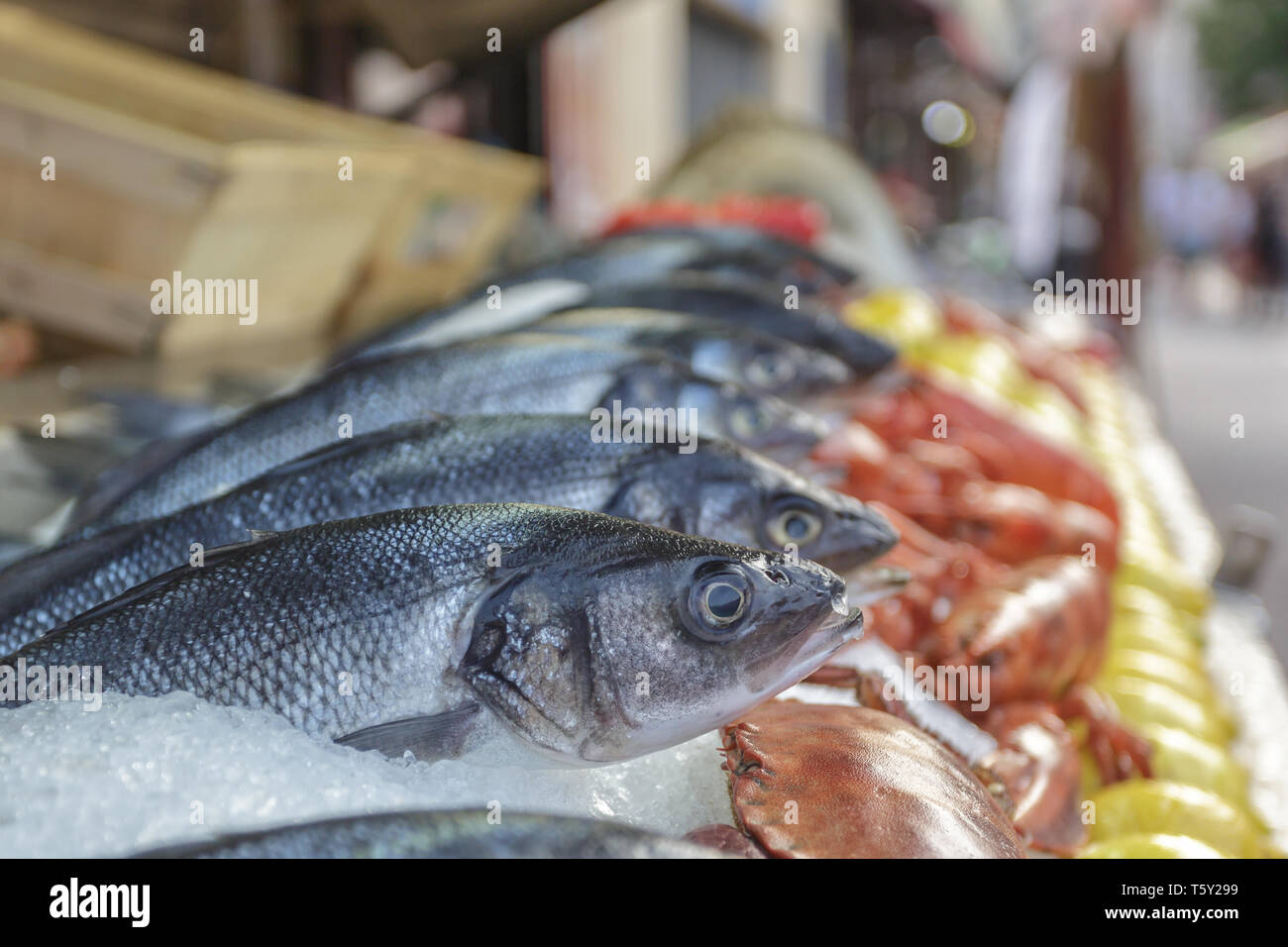 Fish on sale in the market Stock Photo - Alamy