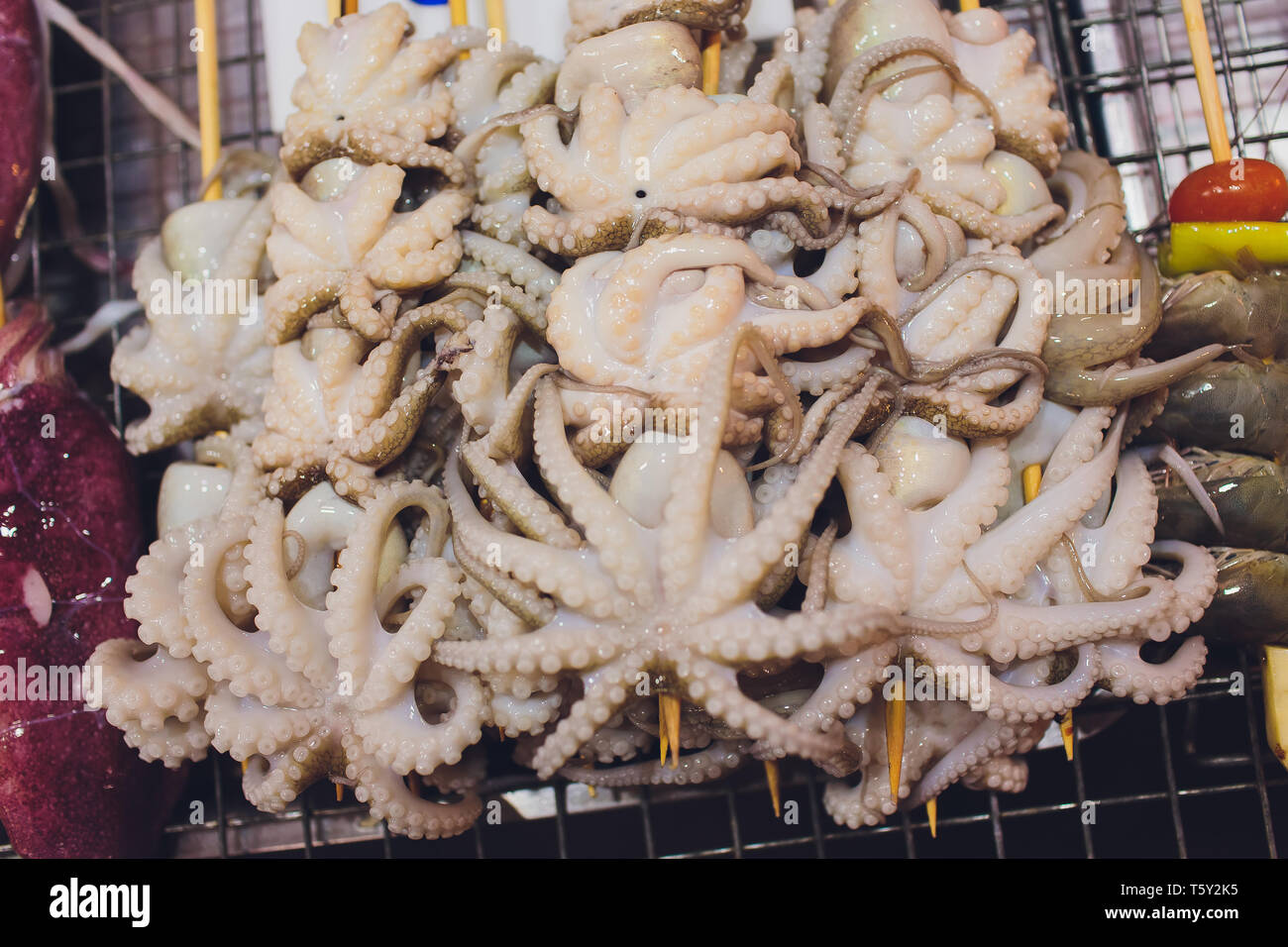 Freshly caught octopus vulgaris in a box with ice at the greek fish ...