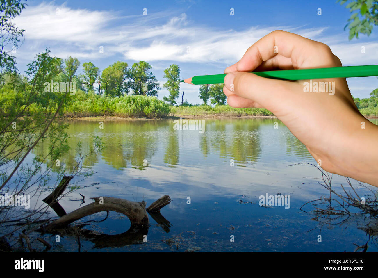 Young boy draw a summer landscape Stock Photo - Alamy
