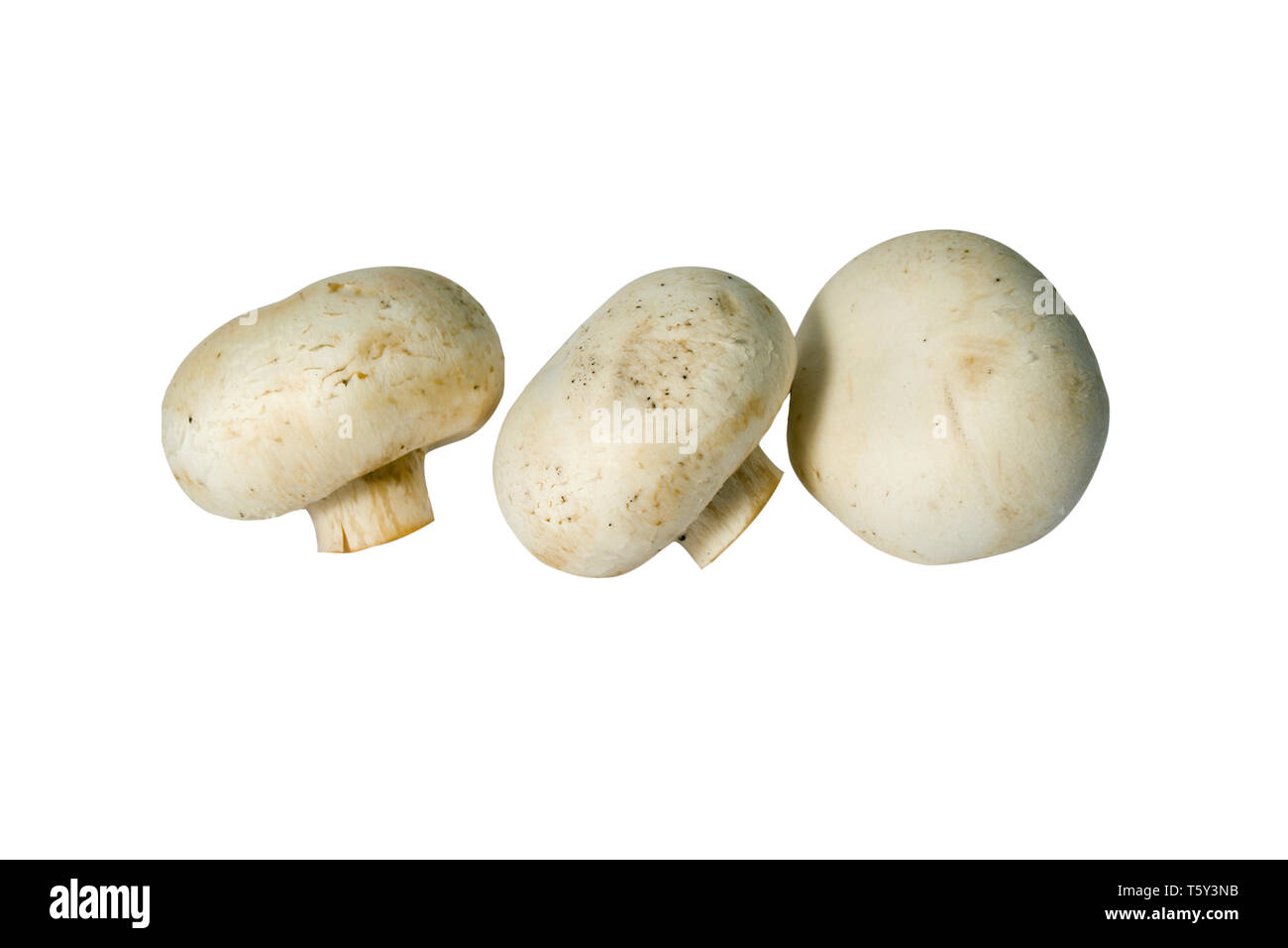 Autumn leg Cut Out Stock Images & Pictures - Alamy