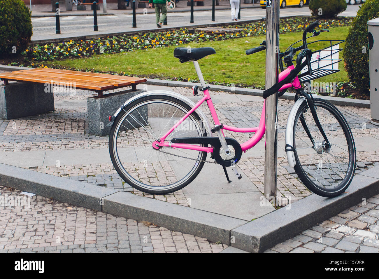 Pink purple cycle hi-res stock photography and images - Alamy