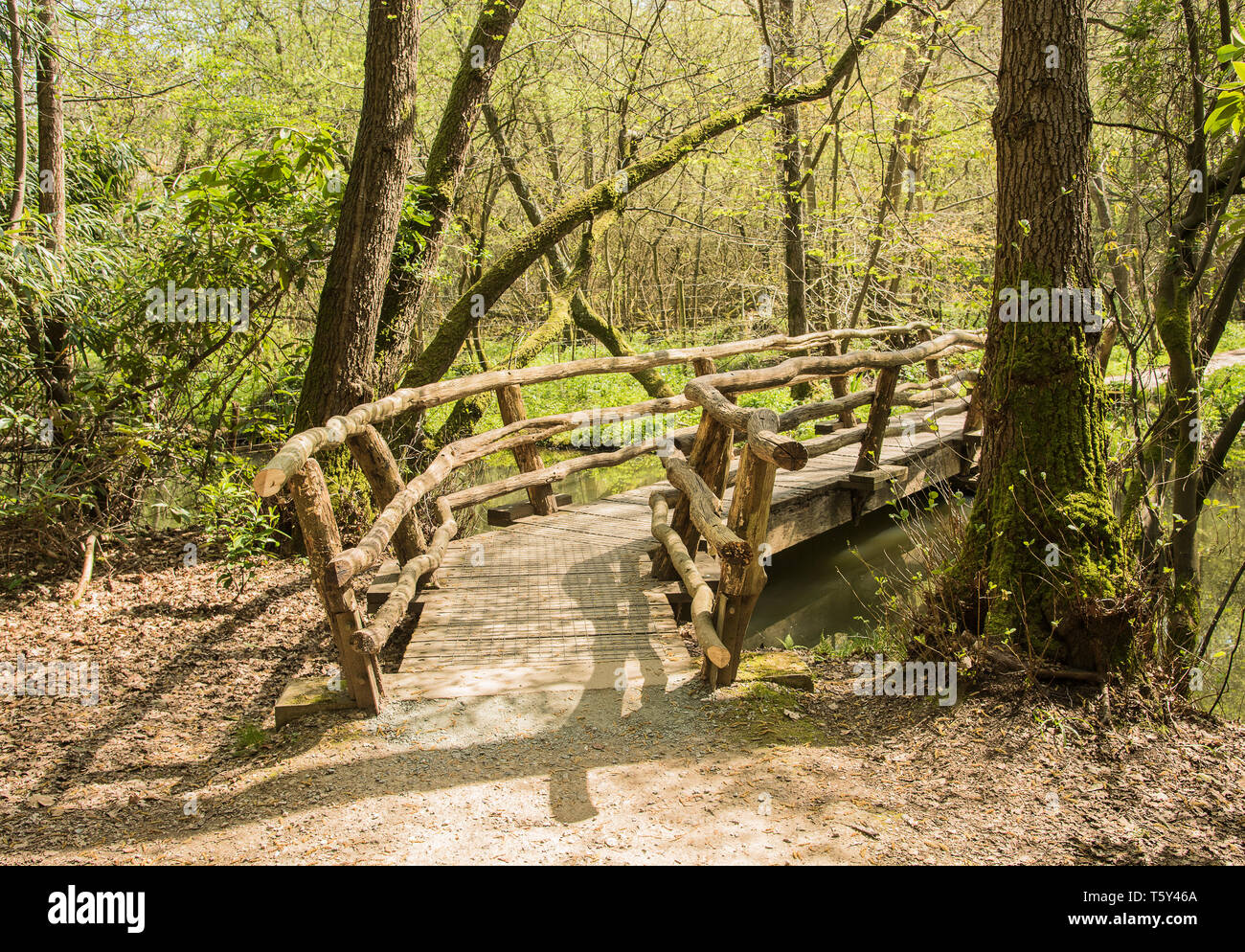 Intricate wooden bridge over a river in woodland Northern England UK ...