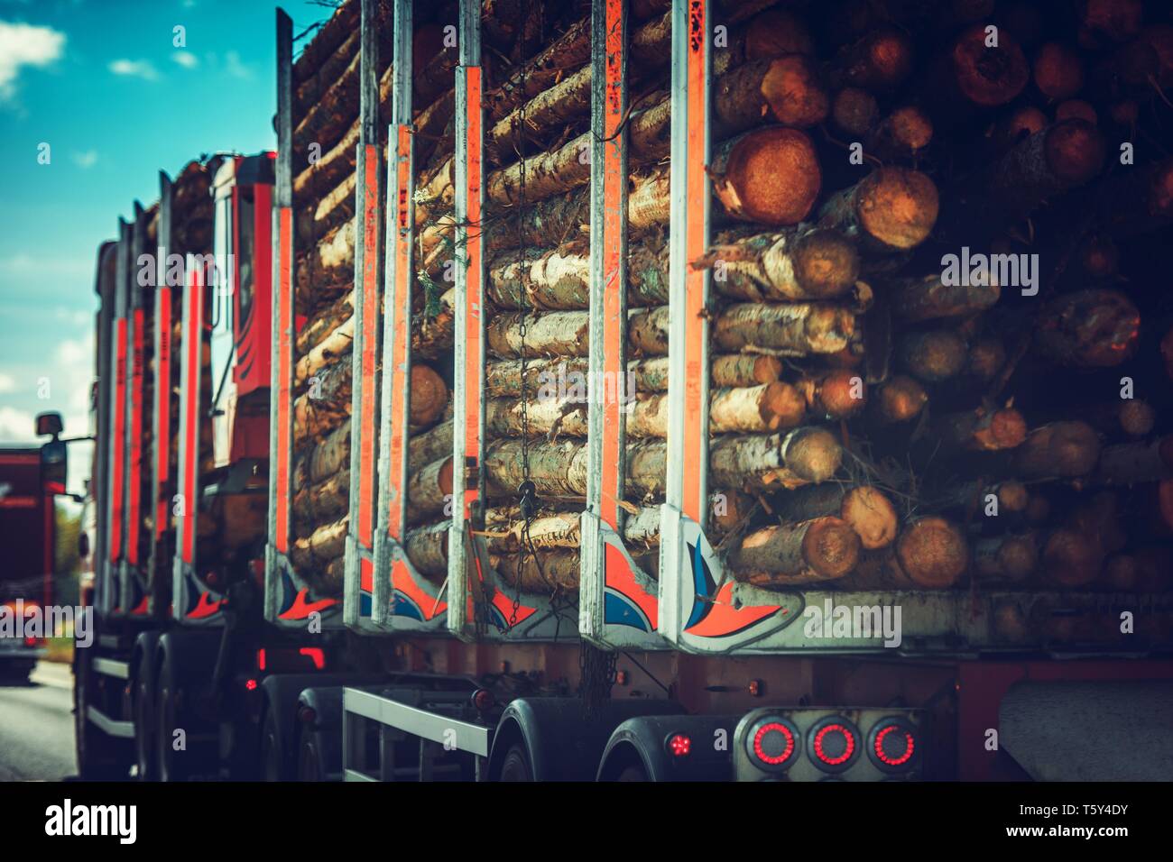 Semi Truck Wood Material Transportation. Timber on a Vehicle. Wood ...