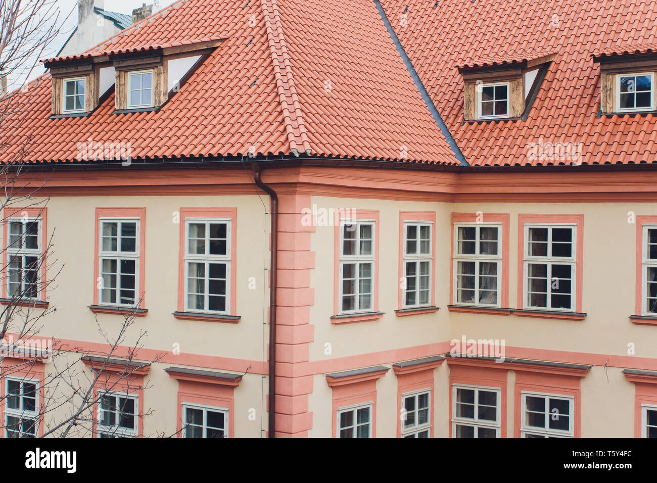 facade of an ancient building, exterior decoration of a beautiful old ...