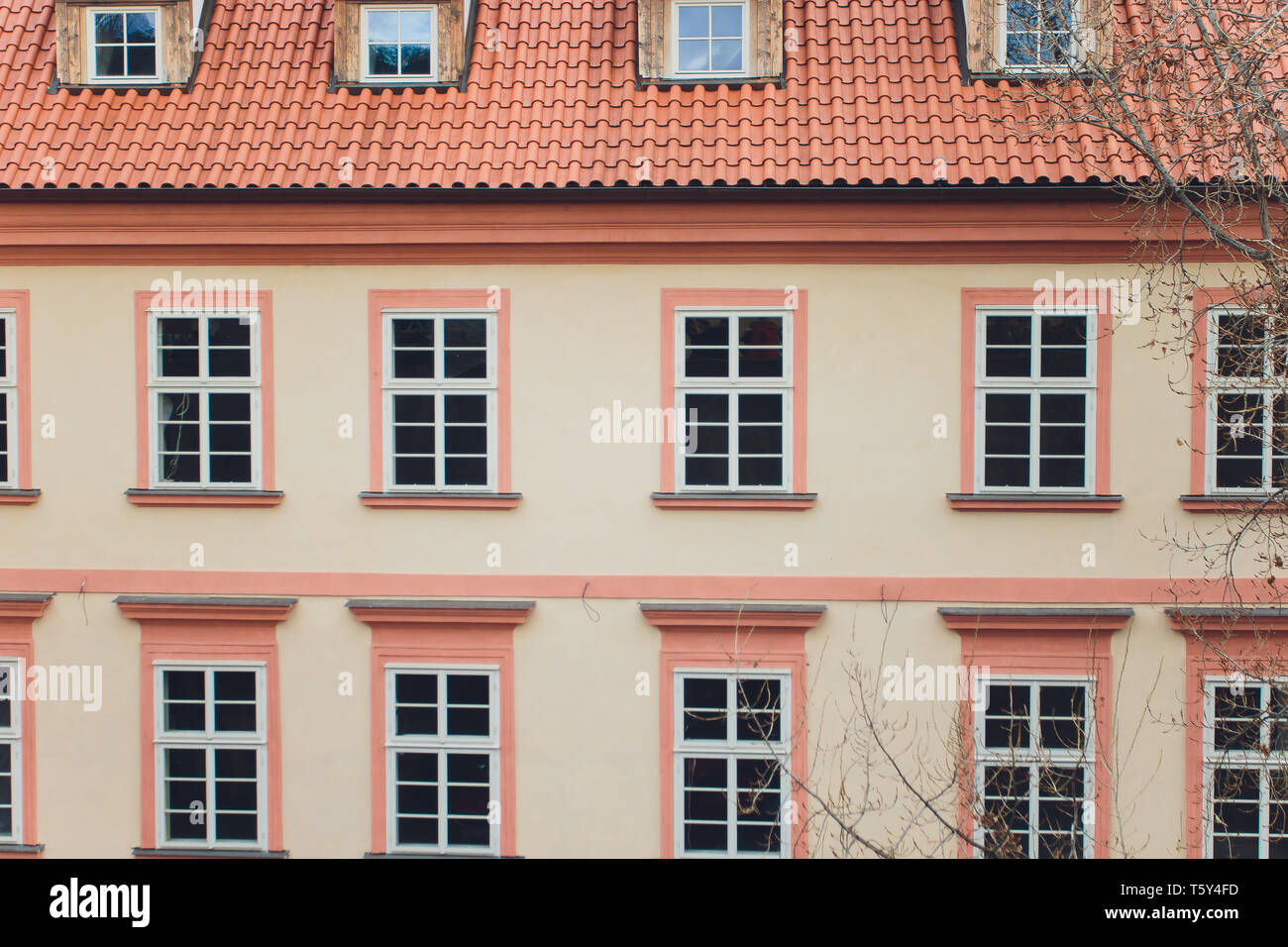 facade of an ancient building, exterior decoration of a beautiful old ...
