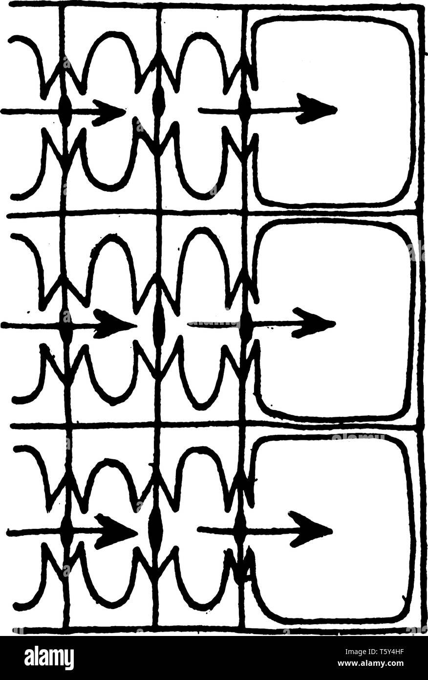 A picture showing a water flow in pine. The diagram shows the flow of ...
