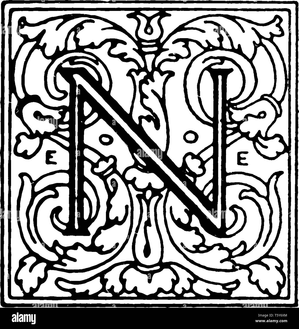 Calligraphy Capital Letter N