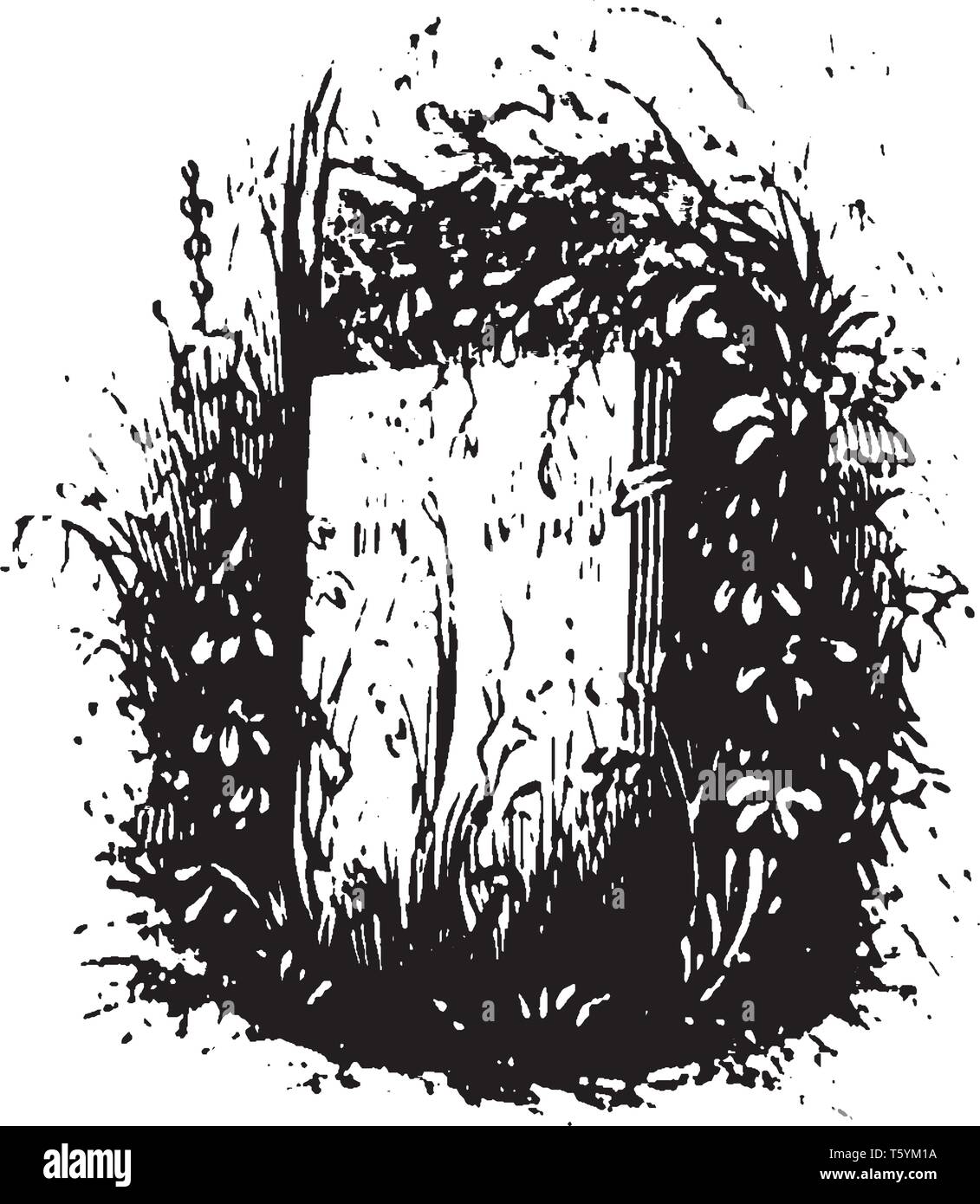 Grave of Nicholas Herkimer an American Patriot militia brigadier ...