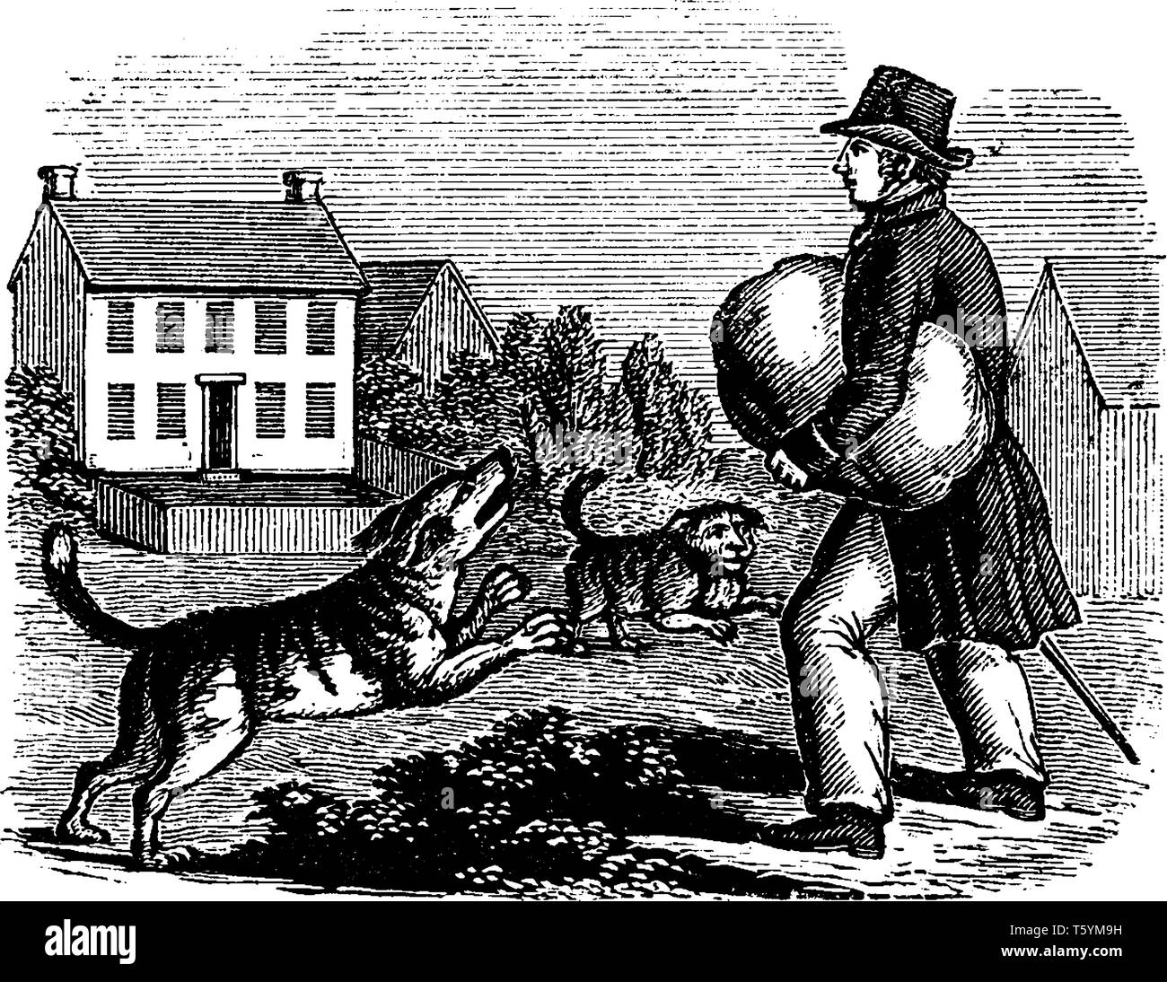 Barking dogs two Stock Vector Images - Alamy