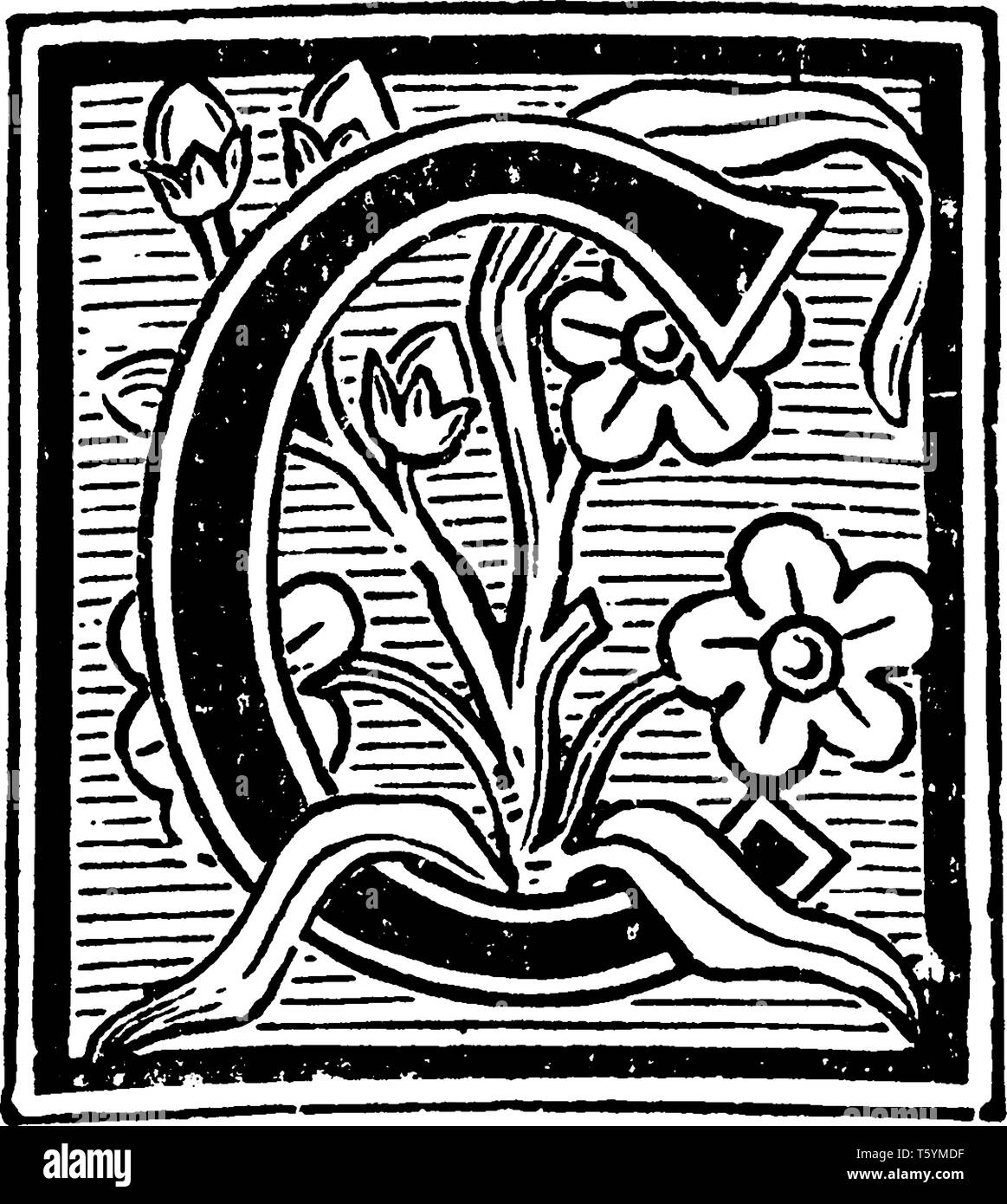 An ornamental capital letter C with flowers, vintage line drawing or ...