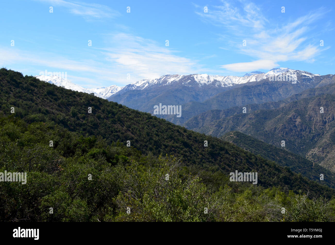 Mediterranean shrubland in El Arrayan natural reserve (Santiago de ...