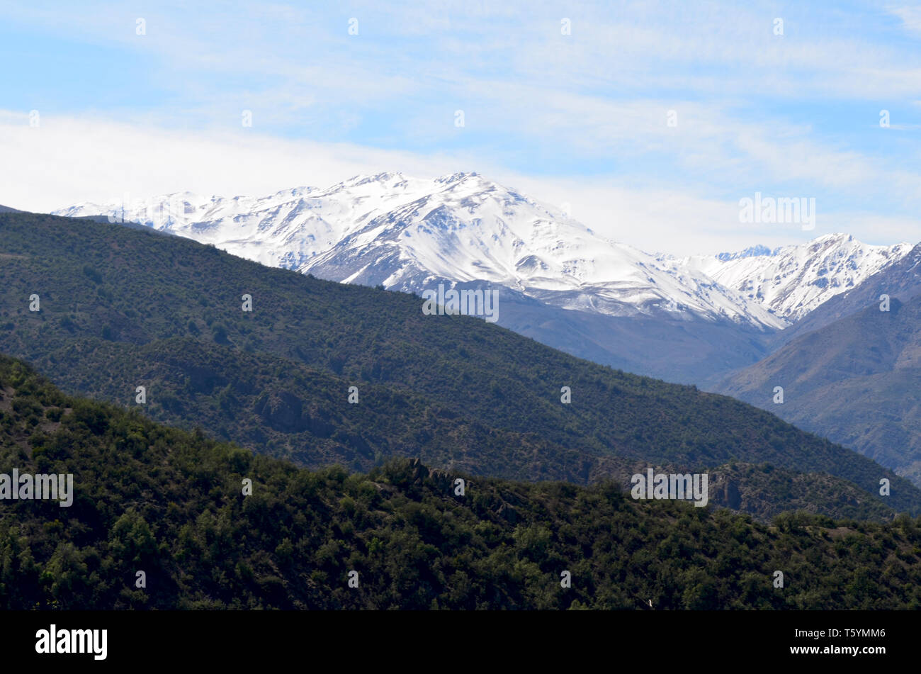 Mediterranean shrubland in El Arrayan natural reserve (Santiago de ...