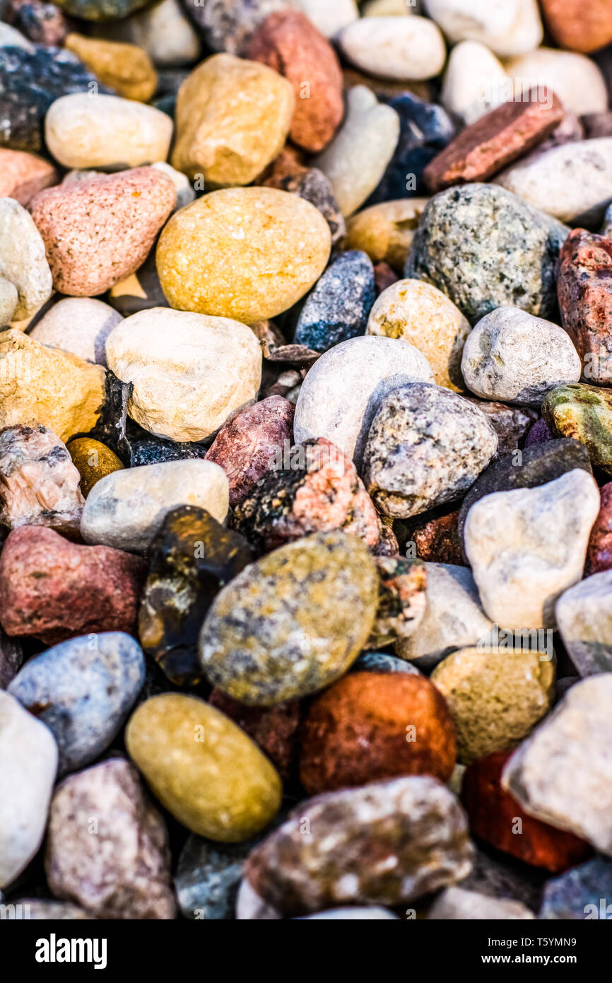 Landscape architecture, interior design and nature elements concept ...