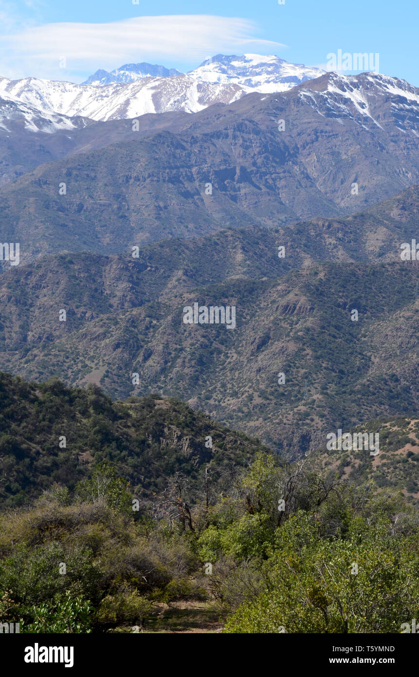 Mediterranean shrubland in El Arrayan natural reserve (Santiago de ...