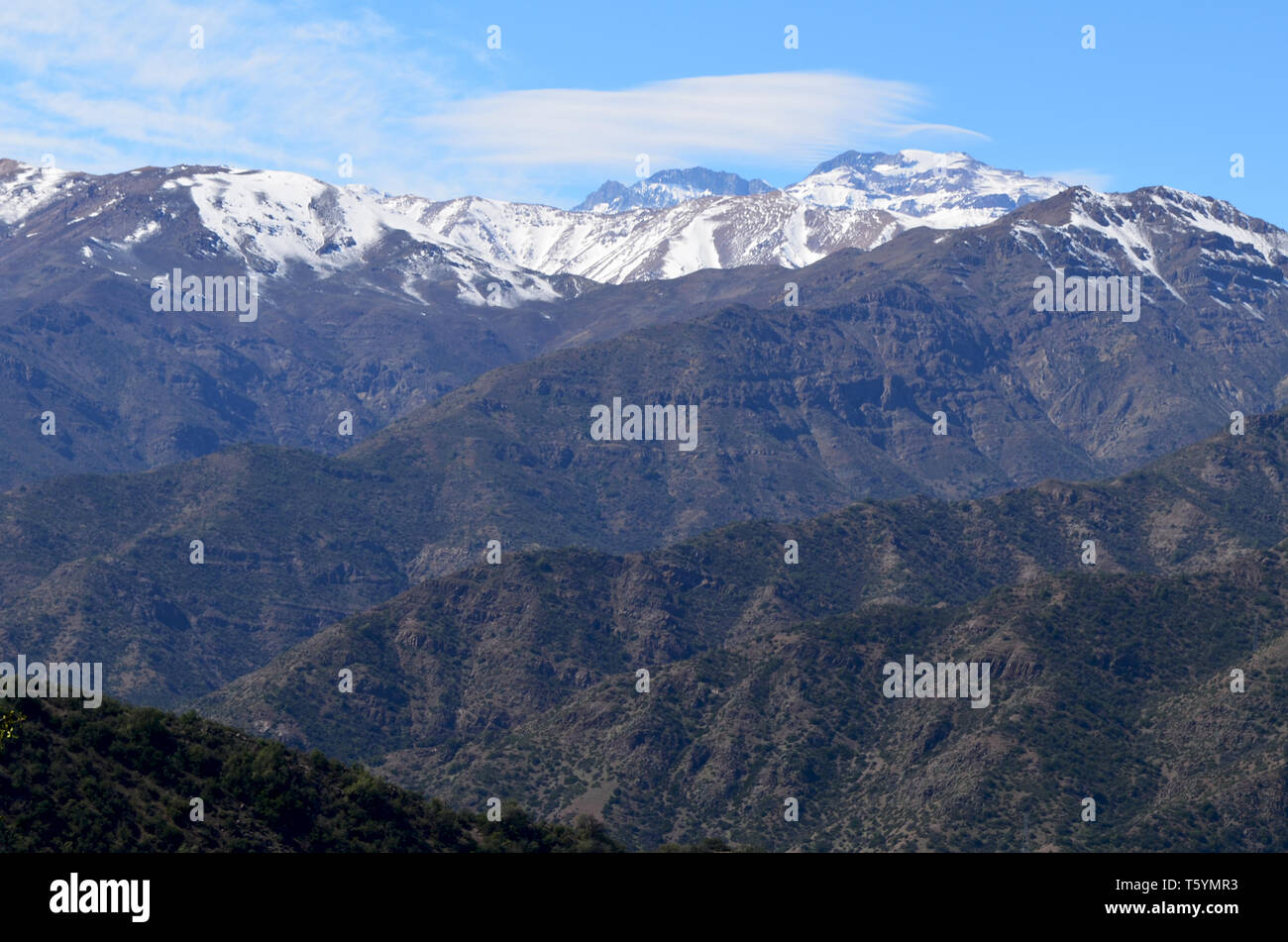 Mediterranean shrubland in El Arrayan natural reserve (Santiago de ...