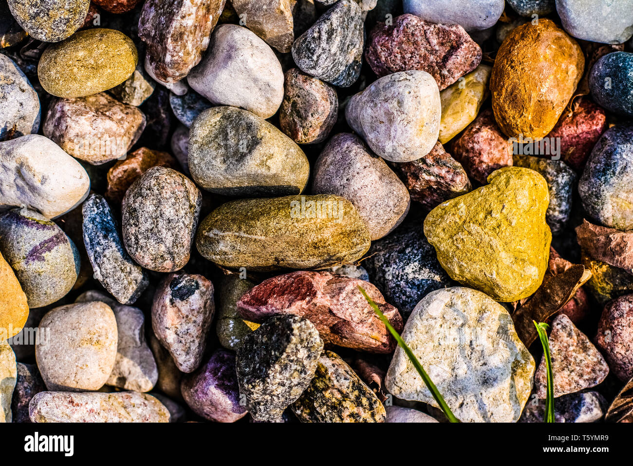 Landscape architecture, interior design and nature elements concept ...