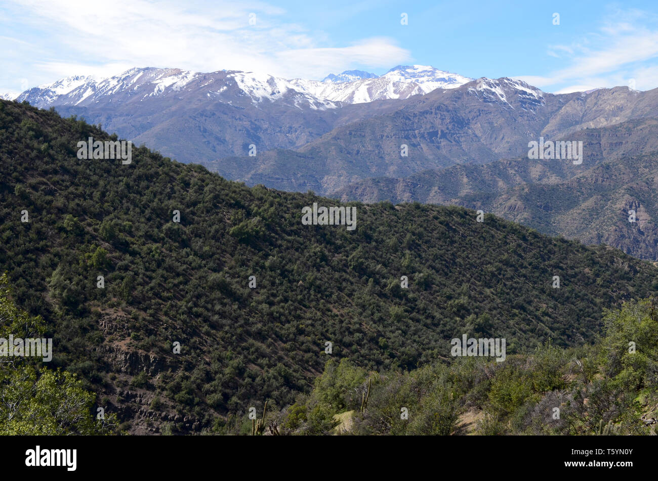 Mediterranean shrubland in El Arrayan natural reserve (Santiago de ...