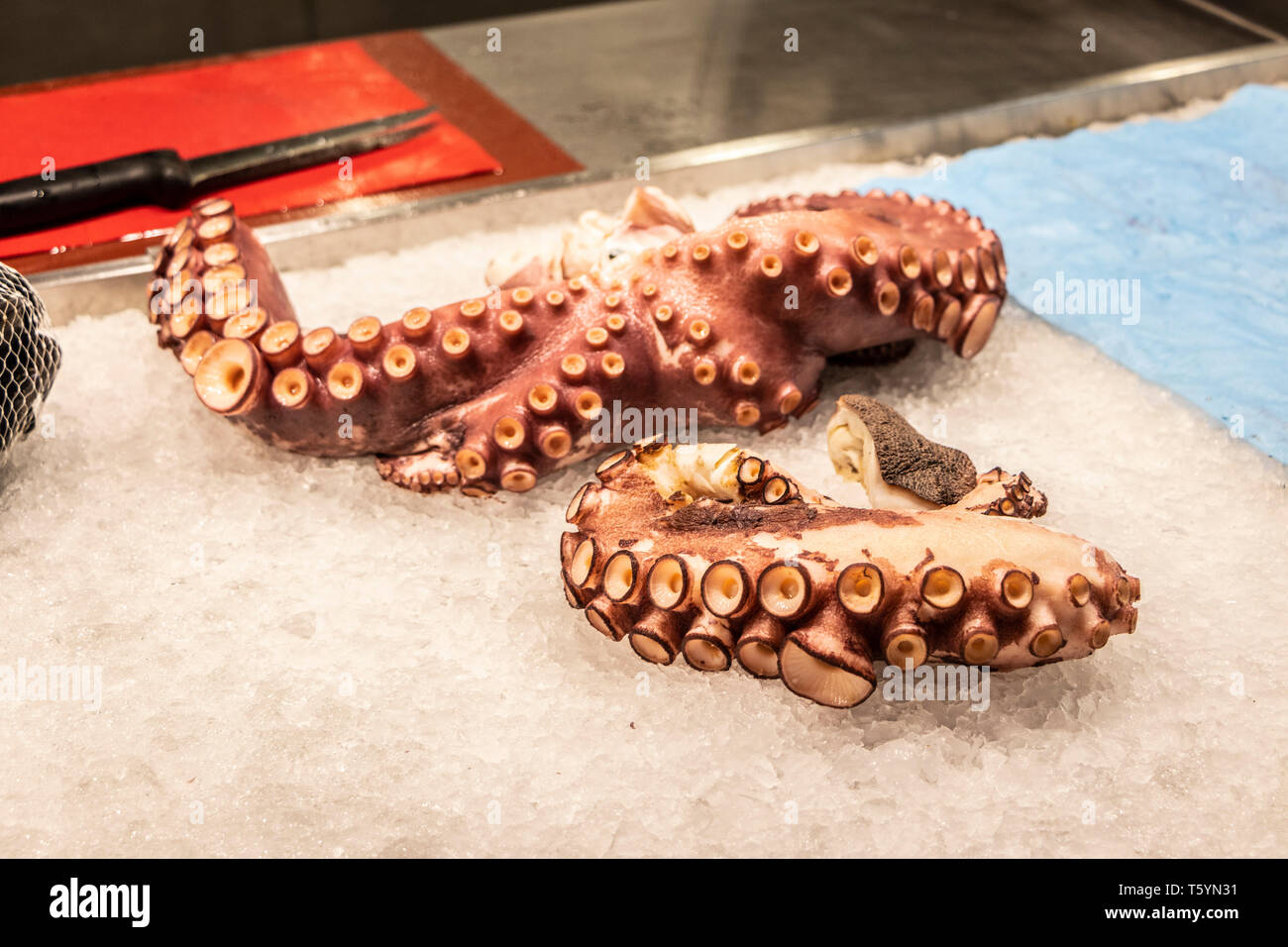 octopus leg with suckers on ice on market stall in Central Market ...