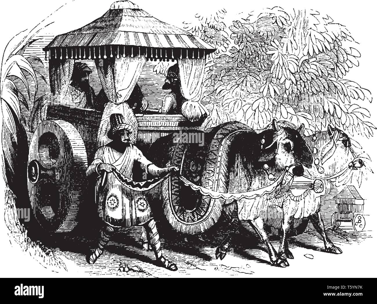 Indian Carriage drawn by two horses used for transportation in India ...