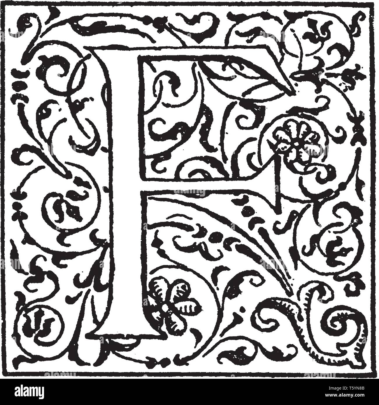 An ornamental and floral capital letter F, vintage line drawing or ...