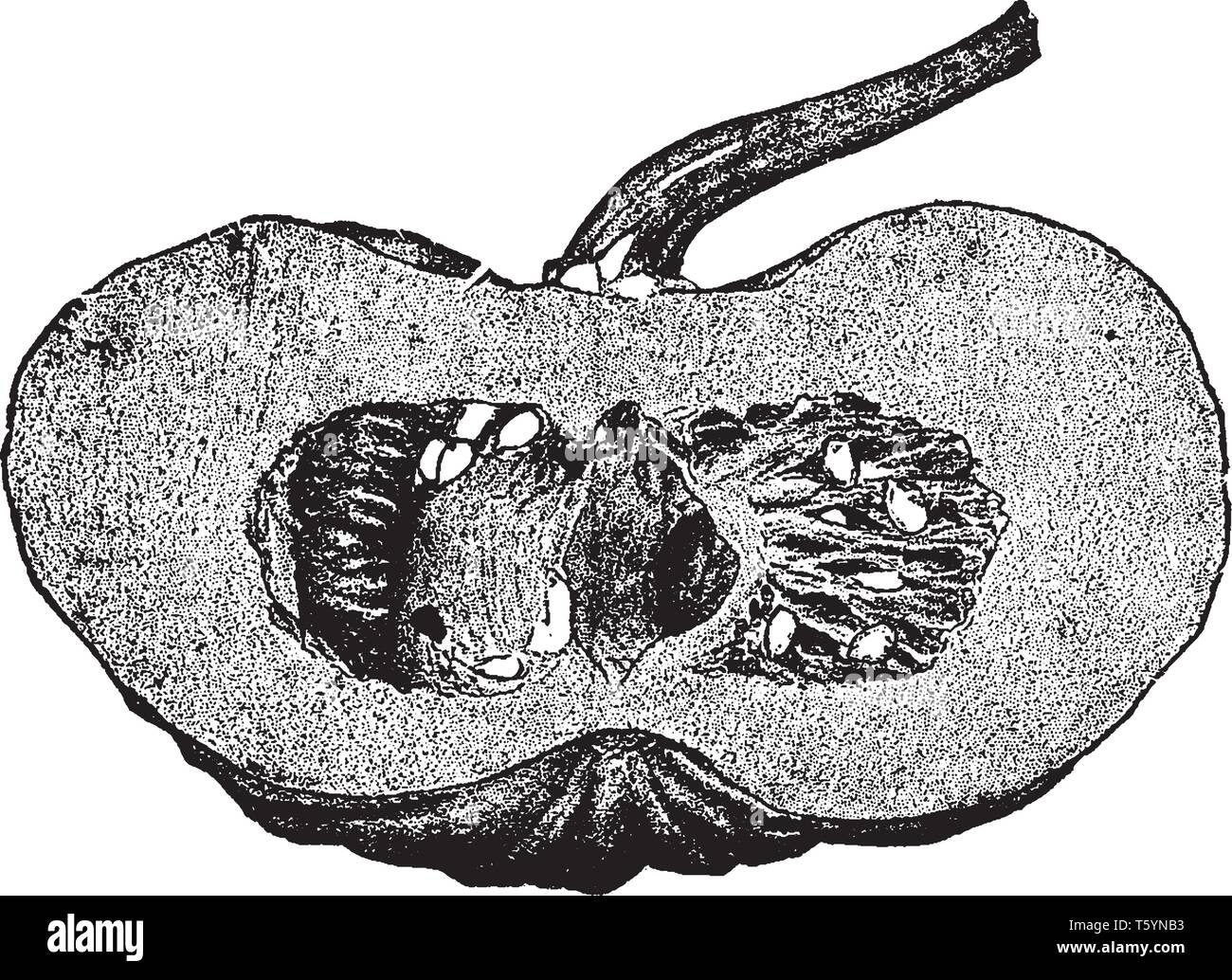 Pulp art hi-res stock photography and images - Alamy