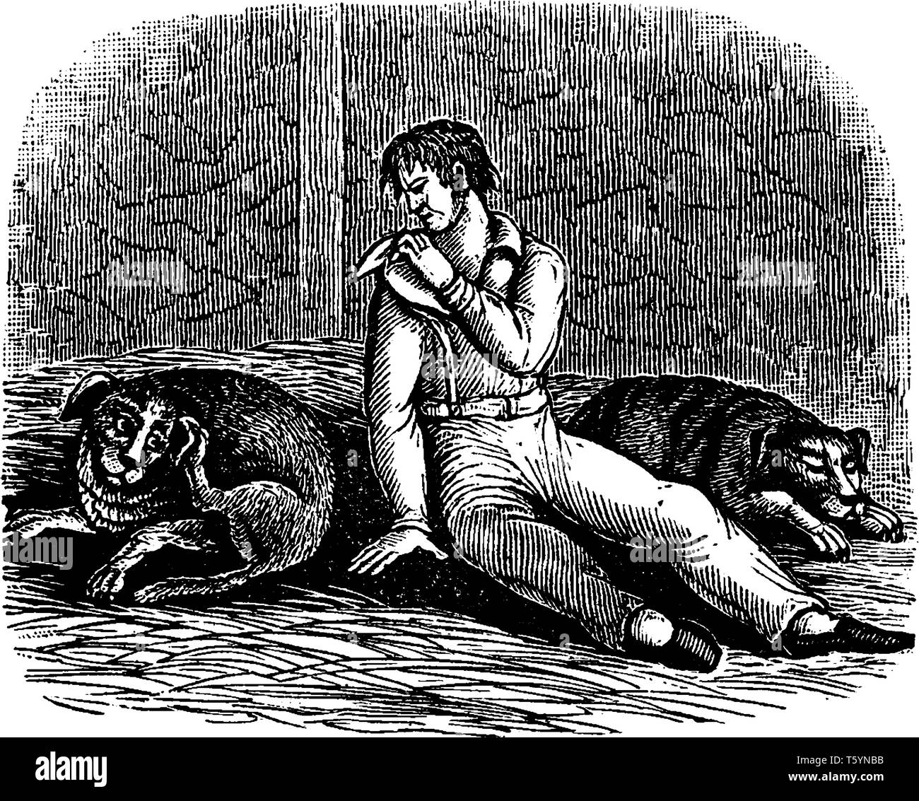 A man with two dogs, vintage line drawing or engraving illustration ...