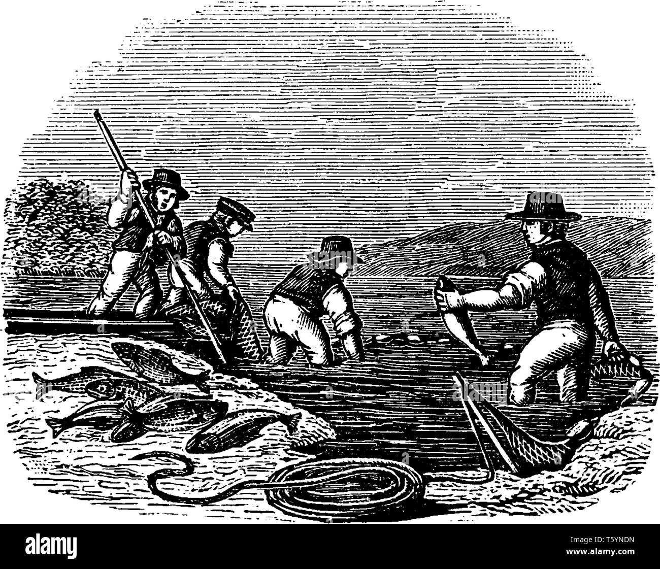 Group of men catching fish, vintage line drawing or engraving ...