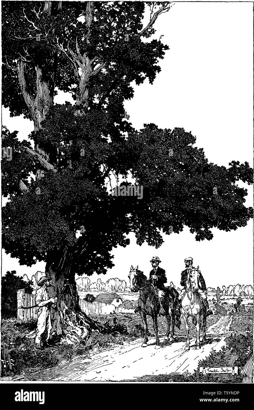 Horses under tree Stock Vector Images - Alamy