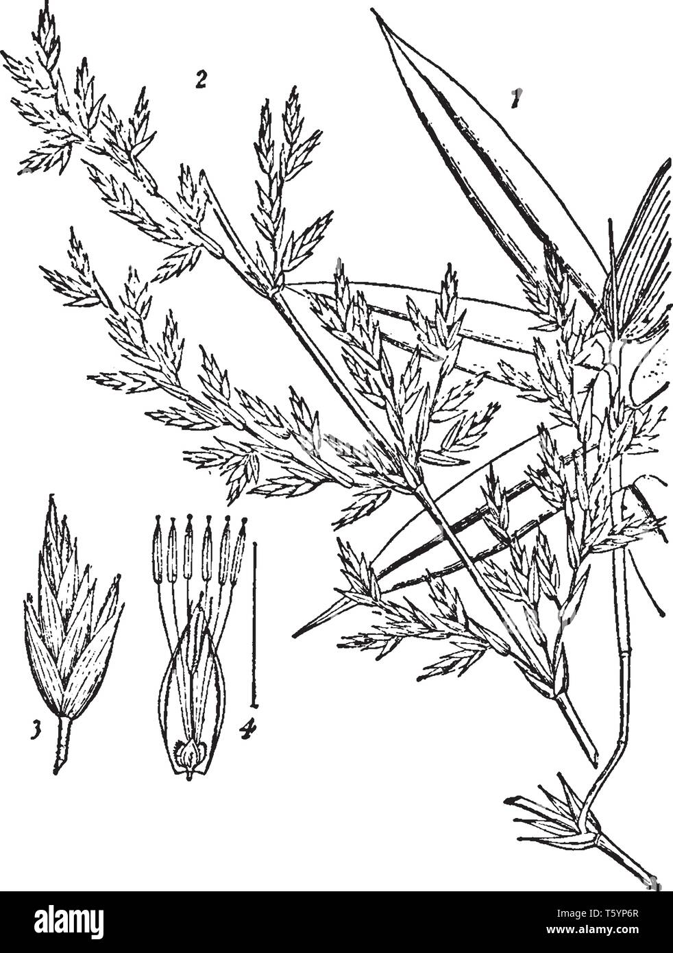 Ganga river himalayas Stock Vector Images - Alamy