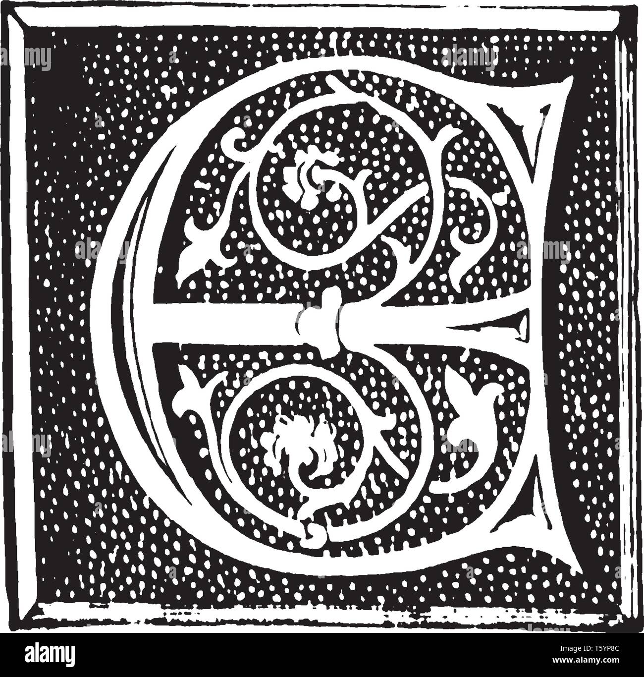 An ornamental letter E with ribbon and berries, vintage line drawing or ...