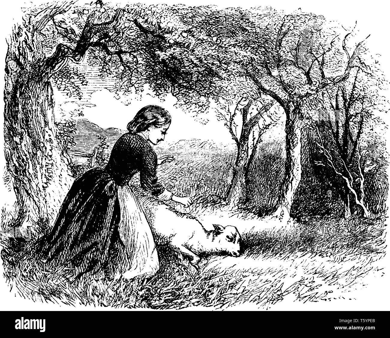 A woman with lamb, lamb fallen on ground, vintage line drawing or ...