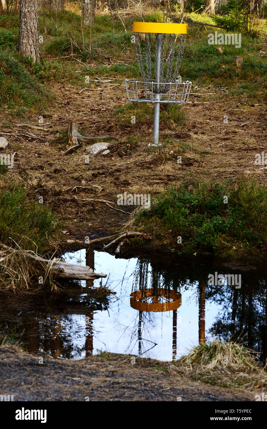 disc golf hole in the forest in spring Stock Photo - Alamy