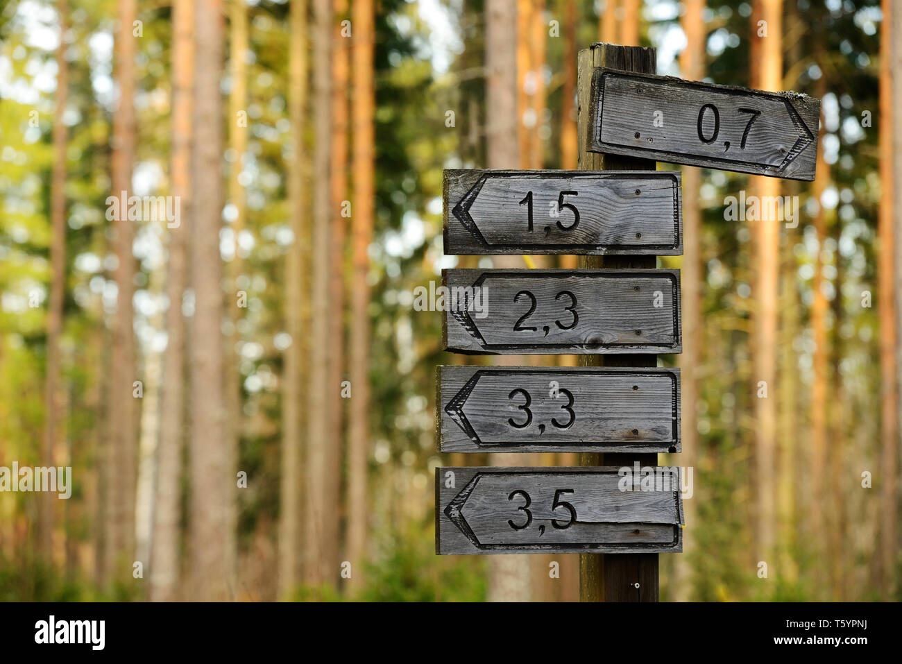 wooden signs of directions and distances in the forest Stock Photo - Alamy