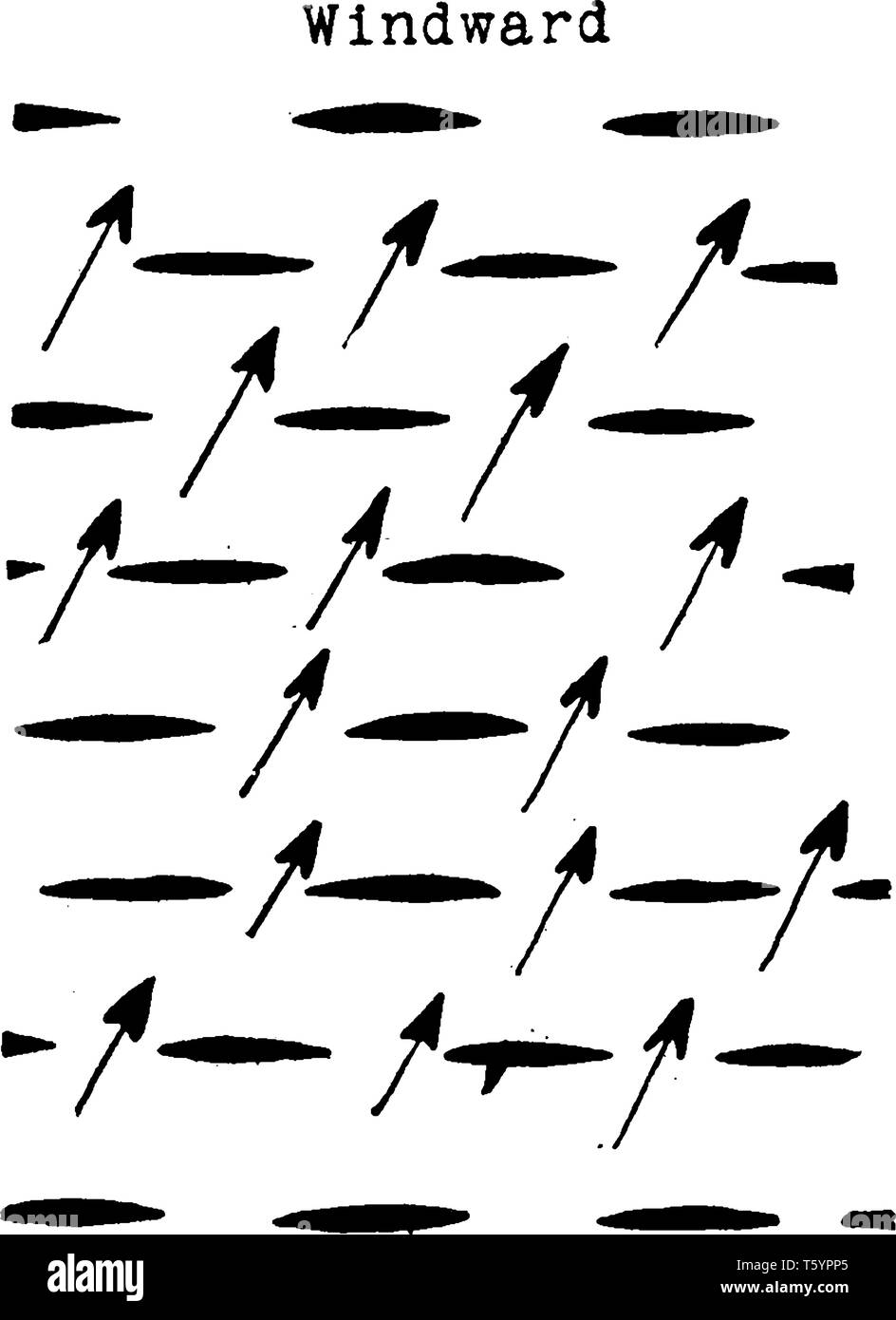 This picture showing a water flow in plants. This diagram shows how to ...