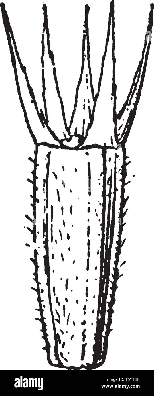 Rectangle shaped hi-res stock photography and images - Alamy