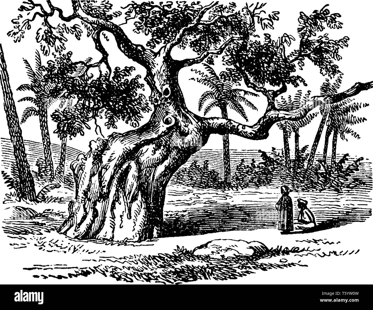 Black tree branches in Stock Vector Images - Alamy