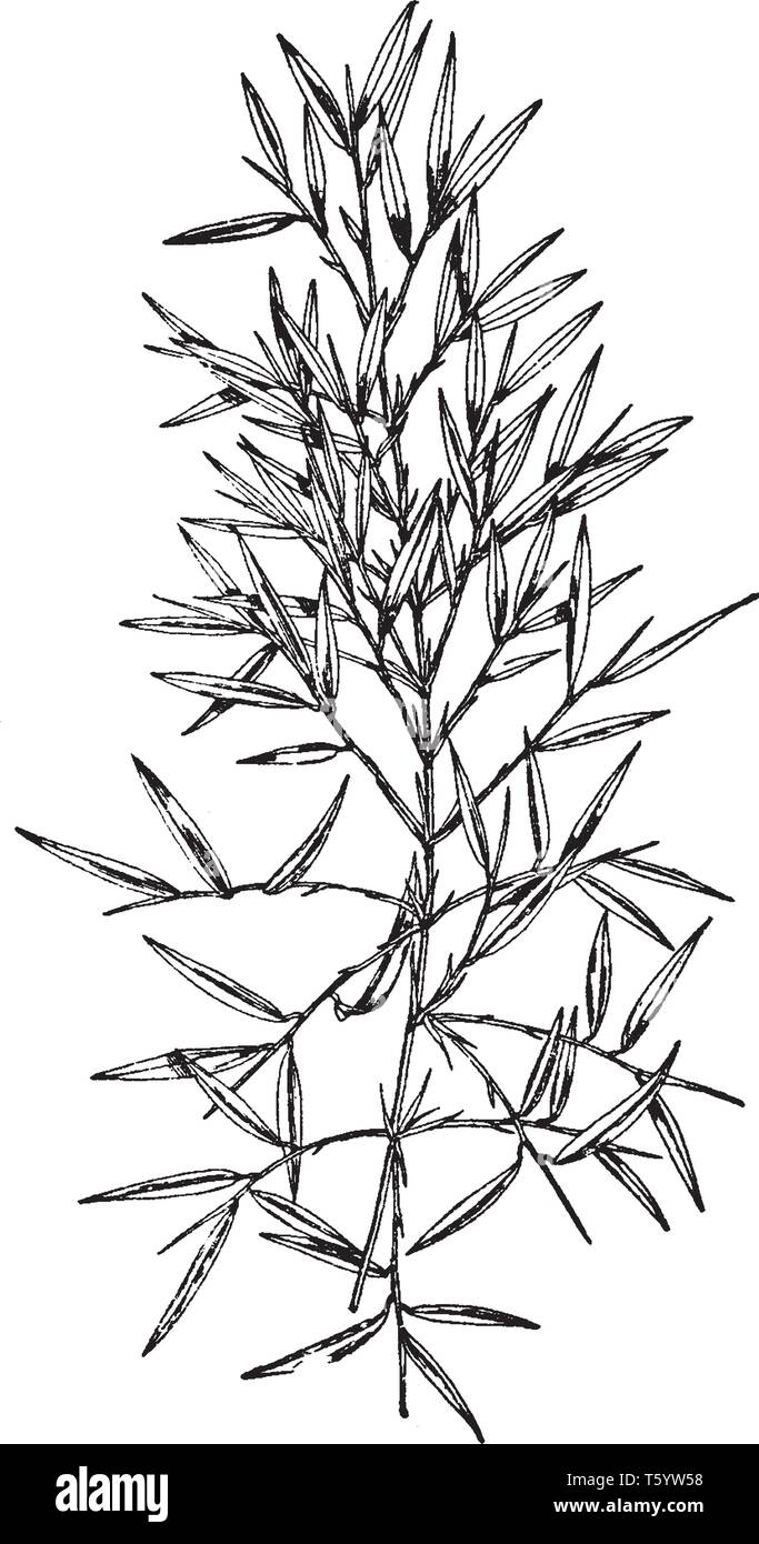 Vintage in colour Cut Out Stock Images & Pictures - Alamy