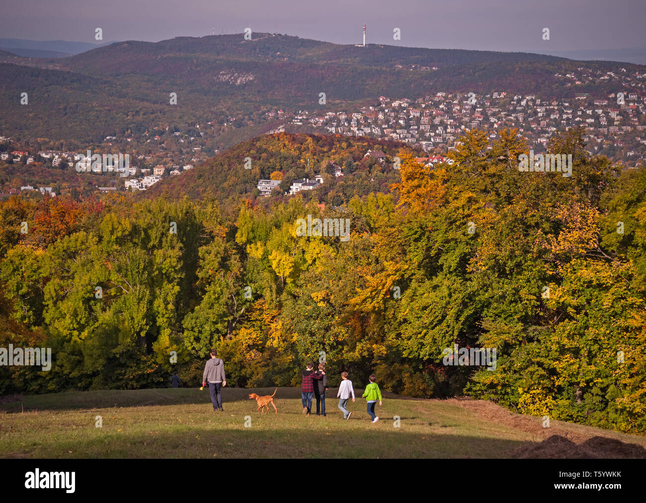 Normafa park hi-res stock photography and images - Alamy