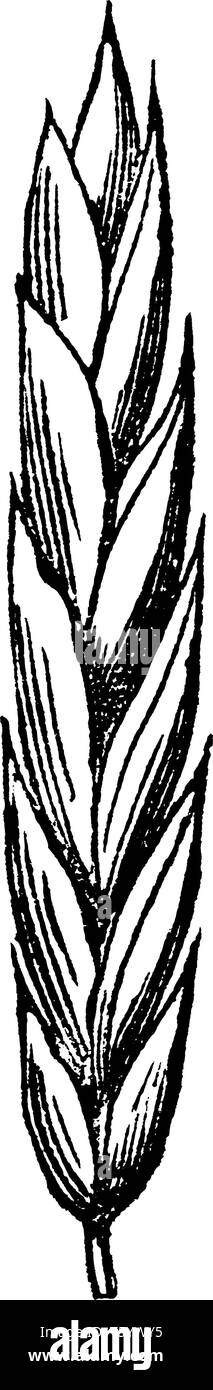 On their side sides Black and White Stock Photos & Images - Alamy