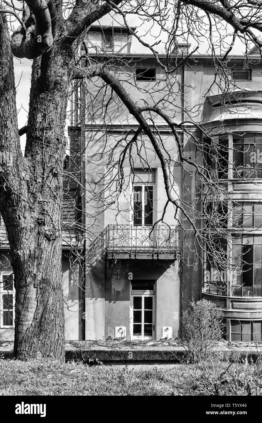 Budapest, the Capital of Hungary Stock Photo - Alamy