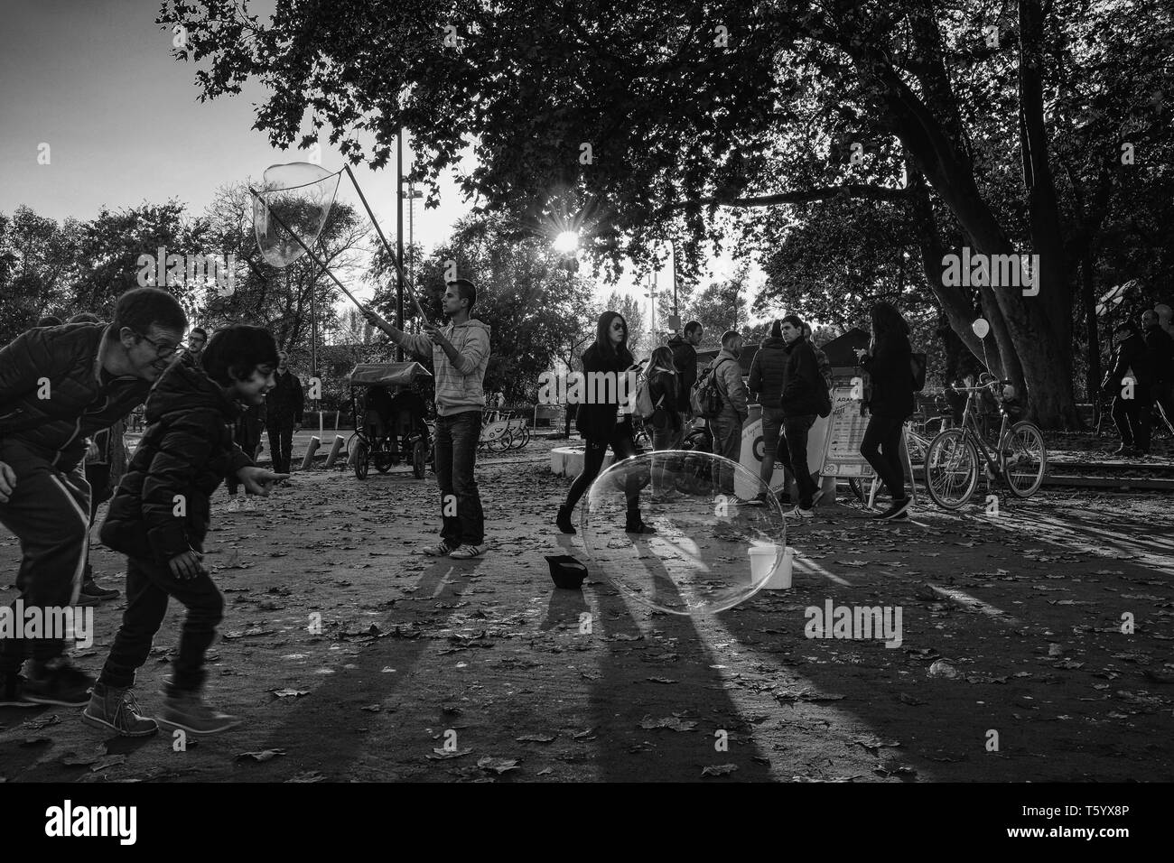 Budapest, the Capital of Hungary (Margaret Island Stock Photo - Alamy