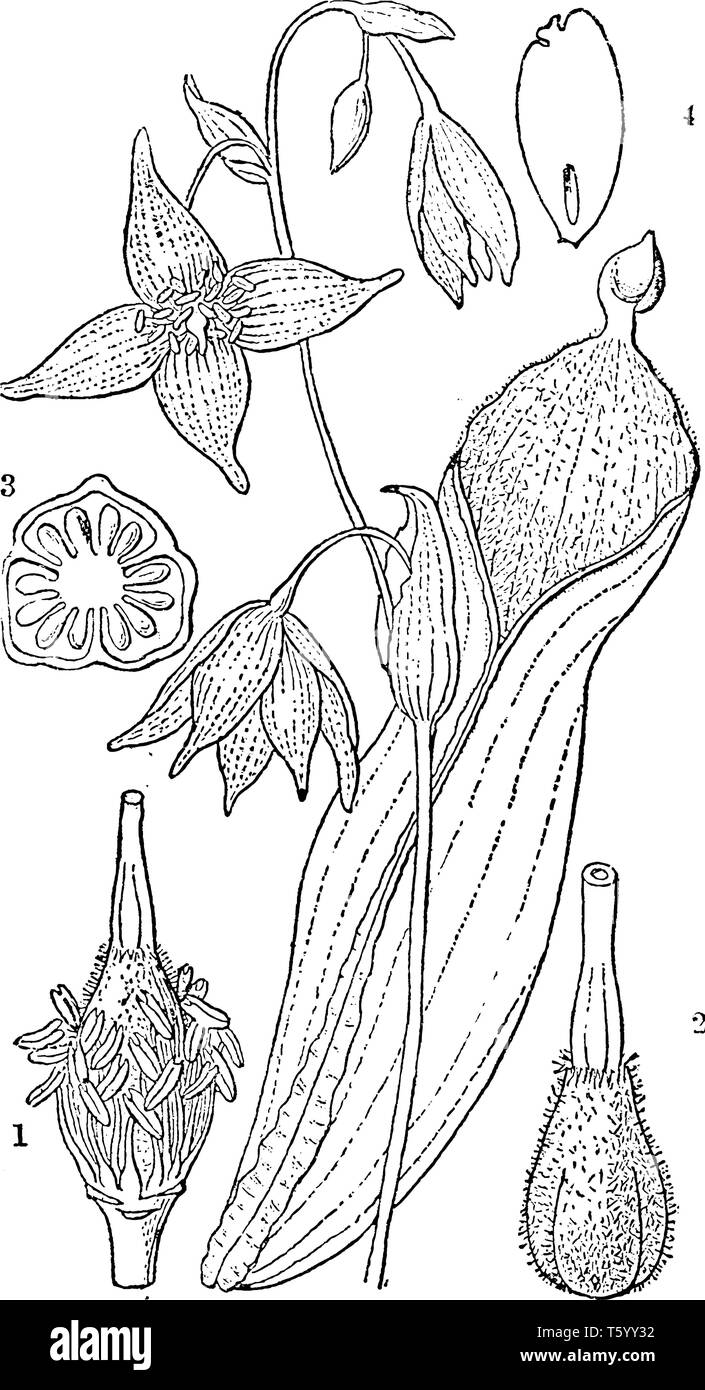 Latter picture Stock Vector Images - Alamy