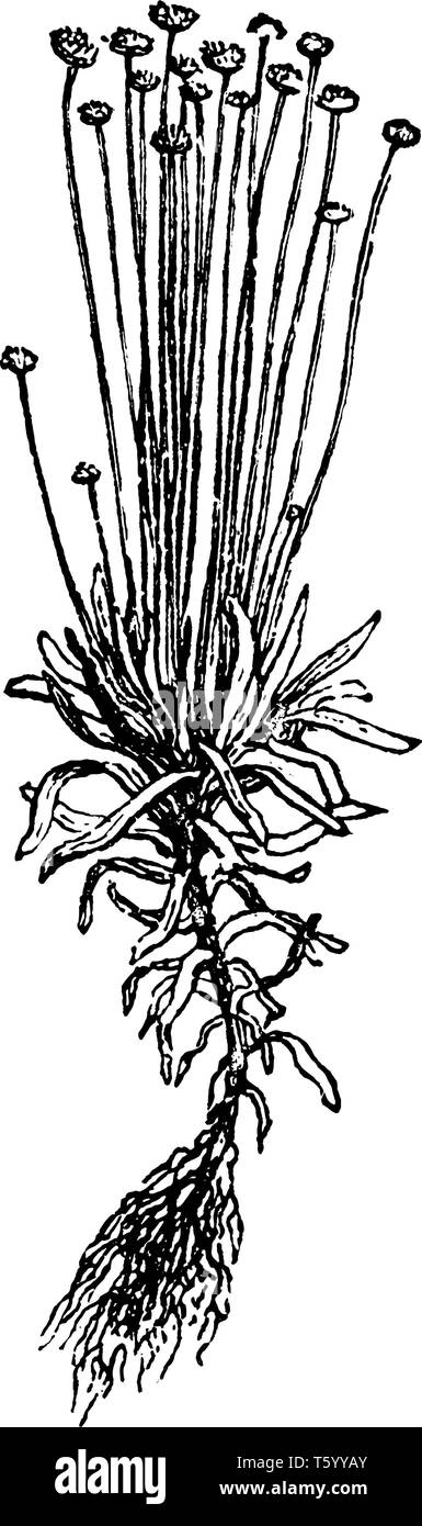 Wet soils Stock Vector Images - Alamy