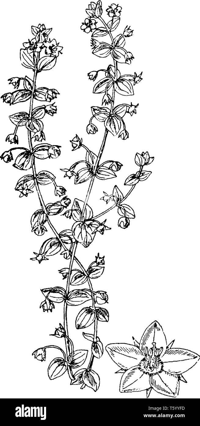 Poor showing Stock Vector Images - Alamy