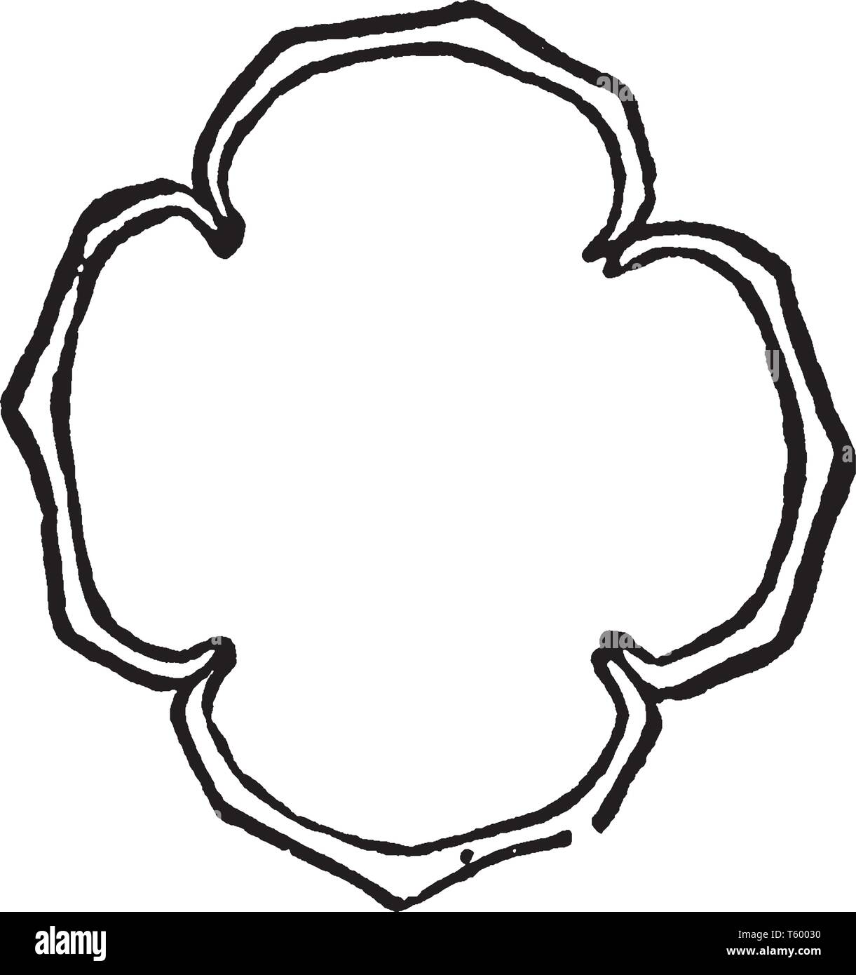 This picture shows a calyx section of Virgin's-bower, vintage line ...