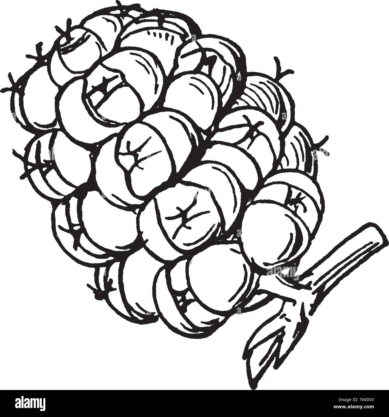 J one Cut Out Stock Images & Pictures - Alamy