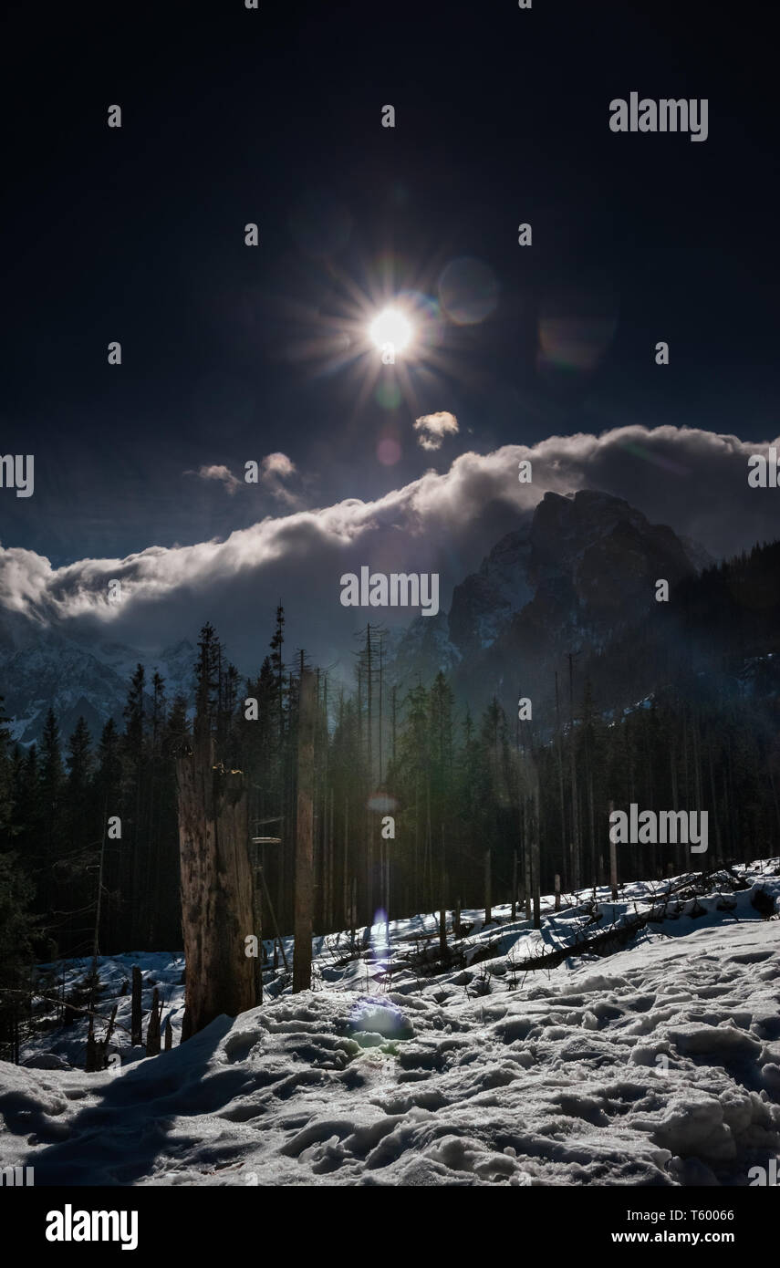 Zakopane in Lesser Poland Stock Photo - Alamy