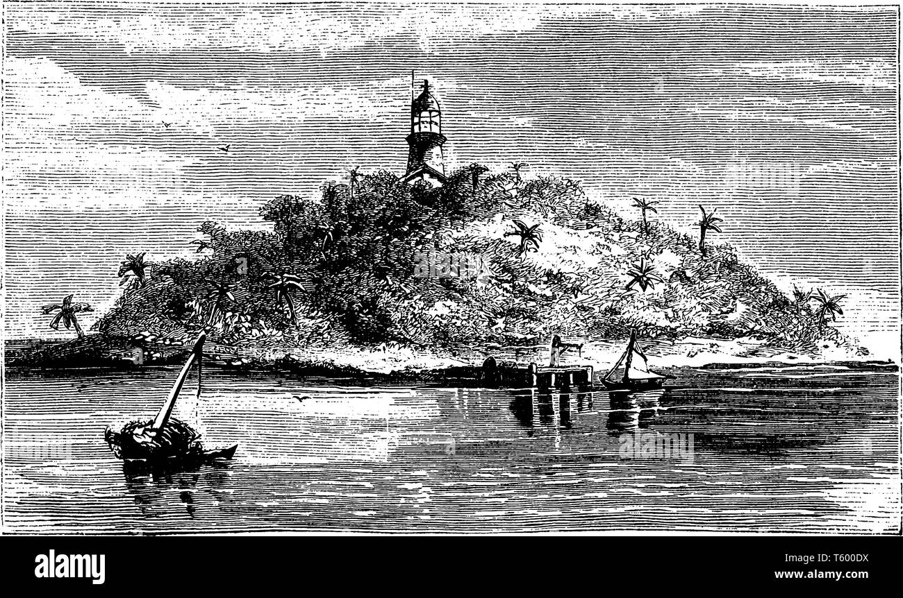 Seahorse Key lighthouse which is located in Cedar Keys and a cluster of ...