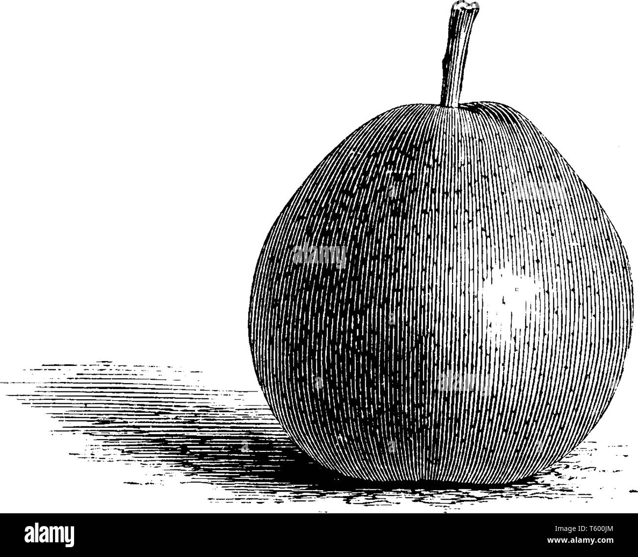 One line drawing autumn Black and White Stock Photos & Images - Alamy